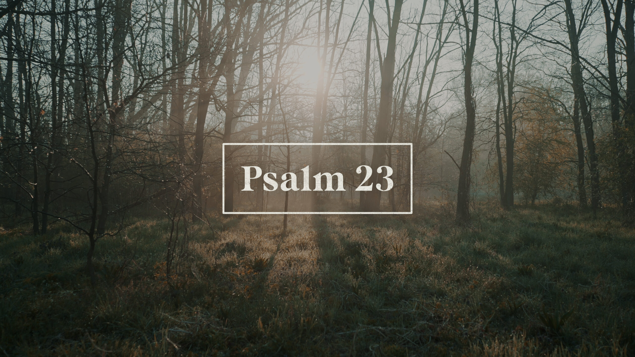 Psalm 23 Church Service Starter & Worship Intro | Story Loop