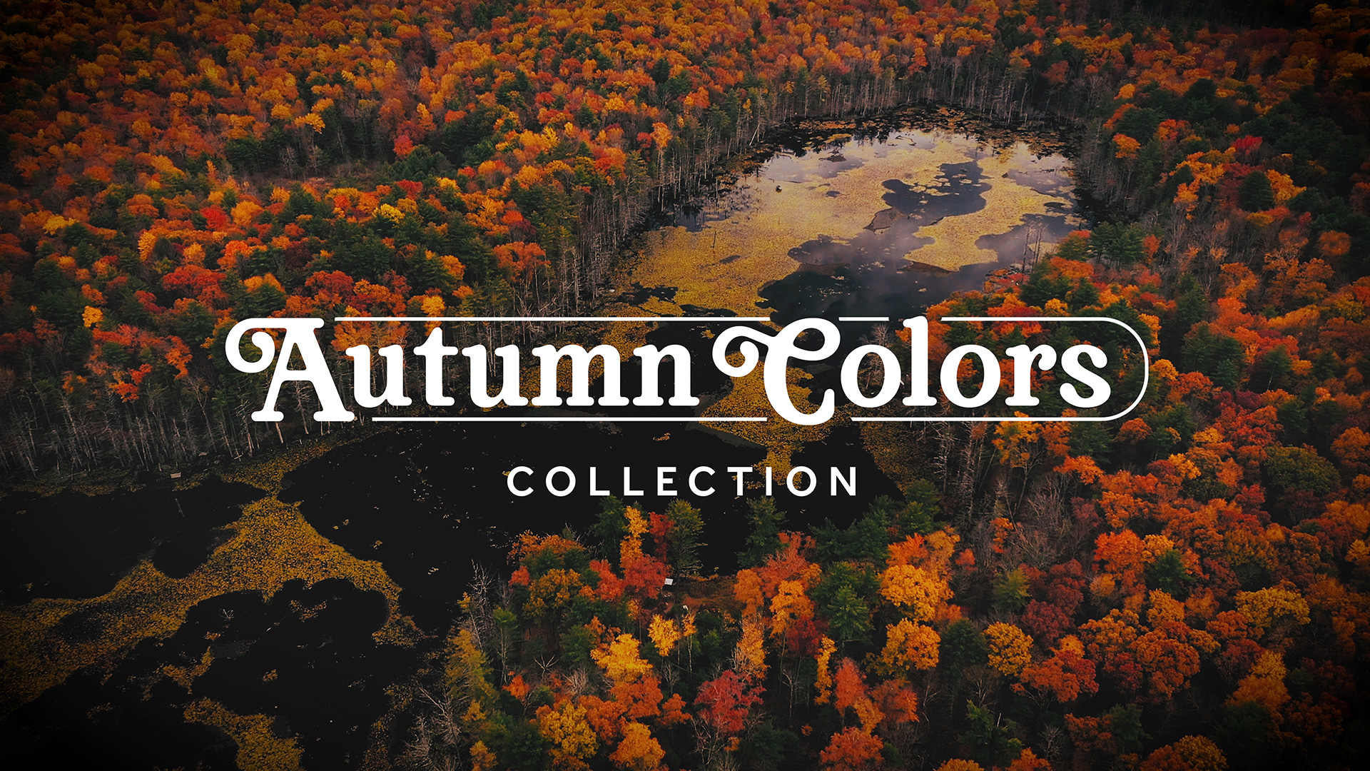 Autumn Colors - Church Motion Backgrounds | Story Loop