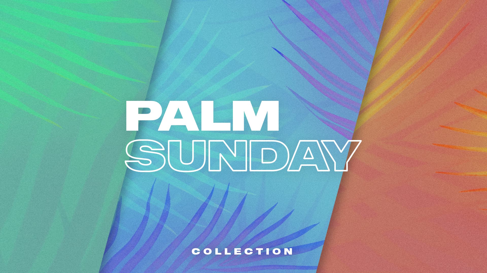 Palm Sunday - Church Motion Backgrounds | Story Loop