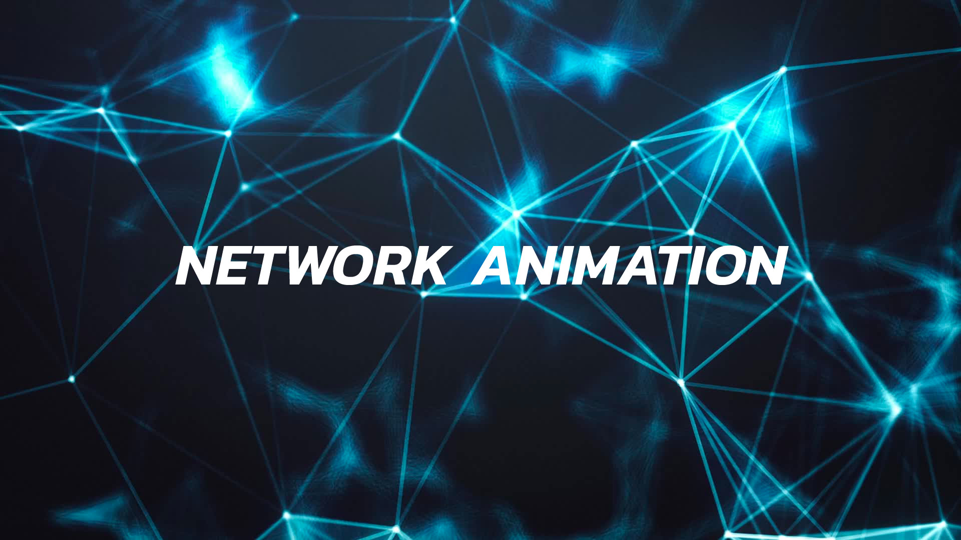 Network Animation