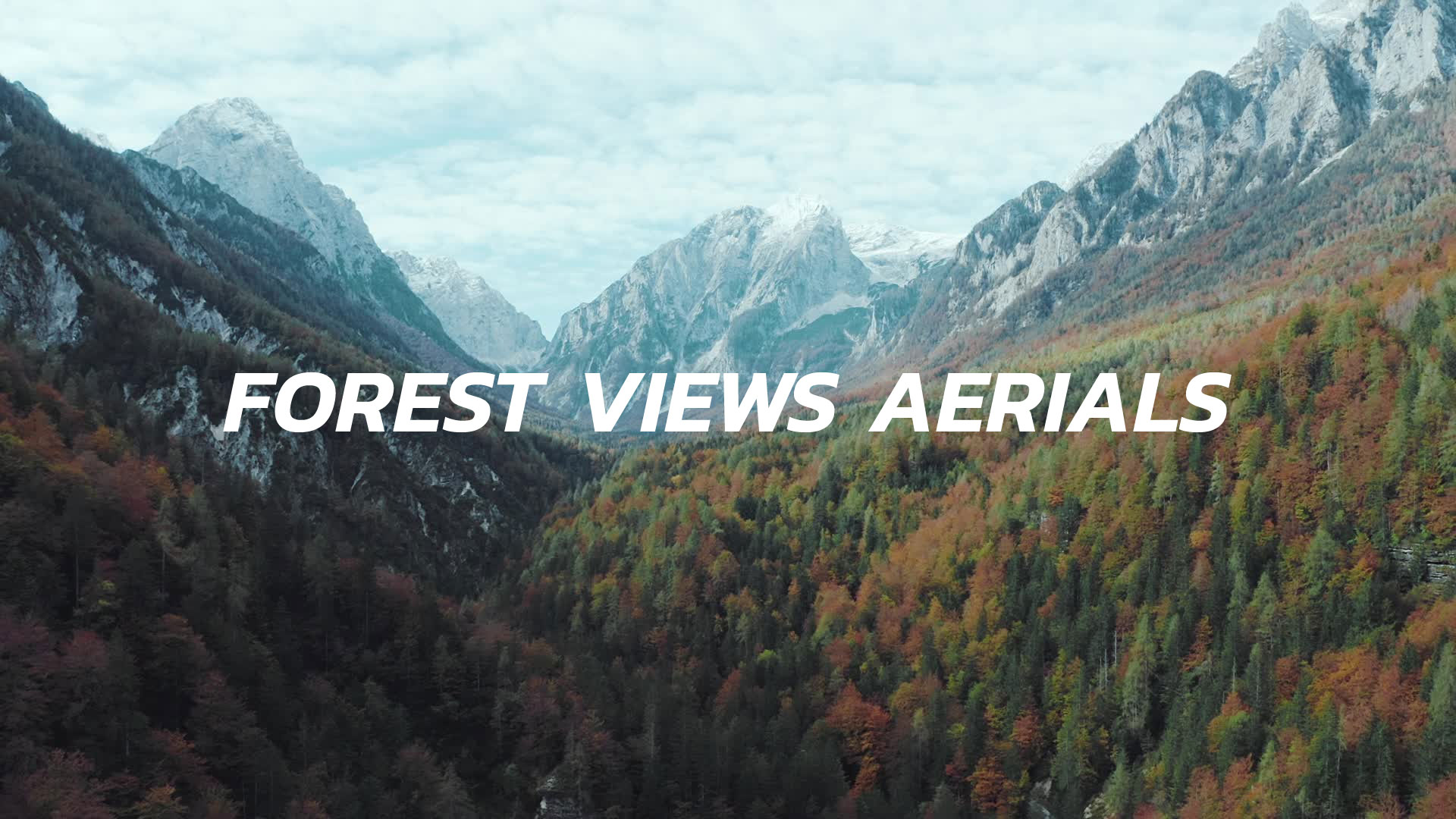 Forest Views Aerials, Stock Footage