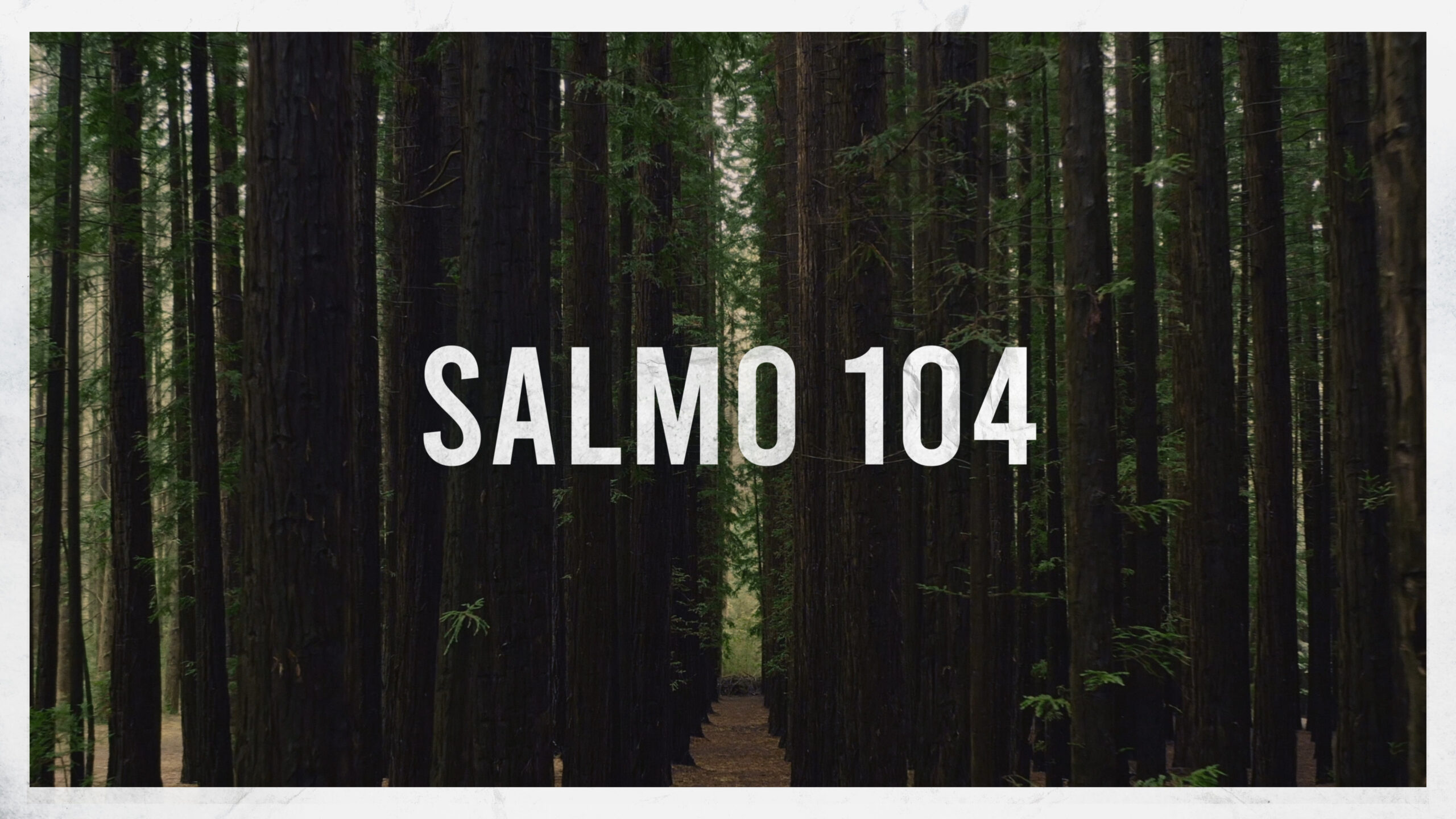 Salmo 104